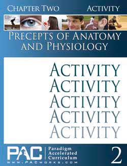 Paradigm Anatomy & Physiology | Lamp Post Homeschool