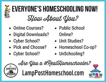 Lamp Post Homeschool | Curriculum and advice for homeschooling K-12