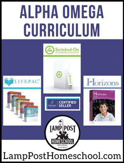 Help Your Homeschooler Find Career | Lamp Post